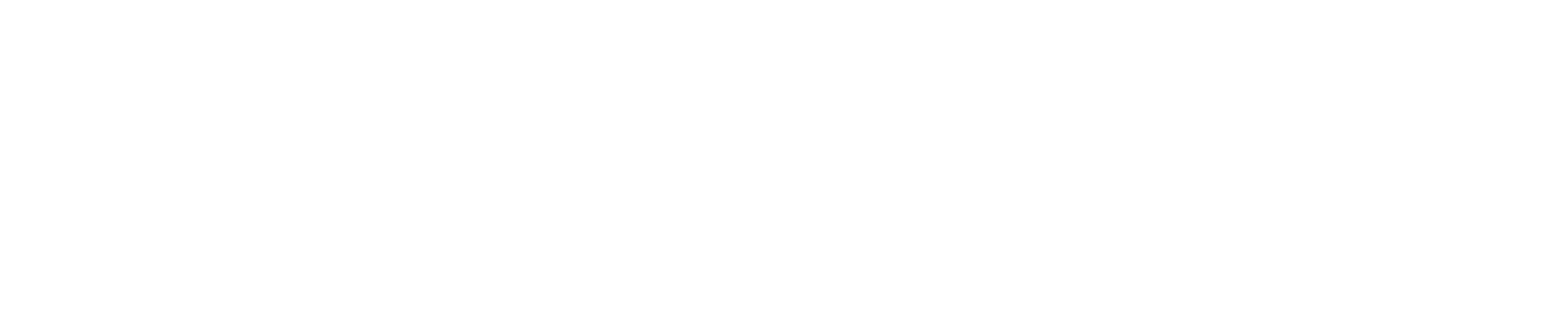 Curator's Tour: Where Words Stay, When Home Fades - Kultur Mitte